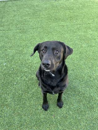 Photos (click for full-size)