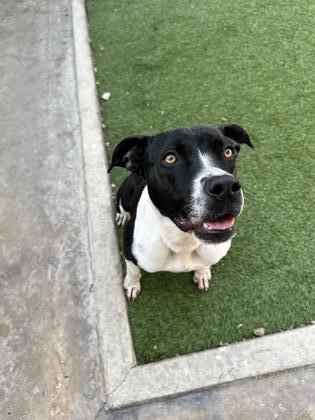 Photos (click for full-size)