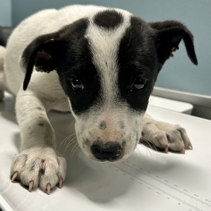 Photos (click for full-size)