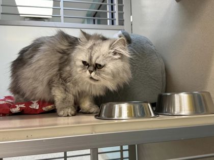 Photos (click for full-size)