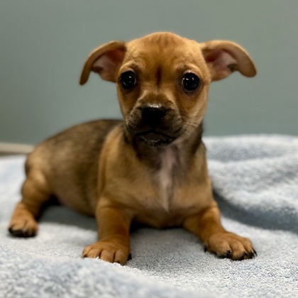 Photos (click for full-size)