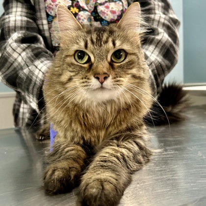 Photos (click for full-size)