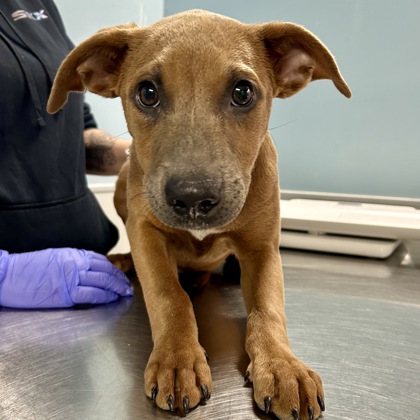 Photos (click for full-size)