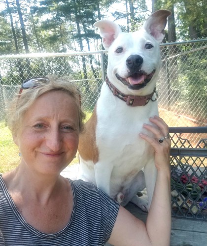 Find a Wonderful Dog for Adoption Today in Midcoast Maine
