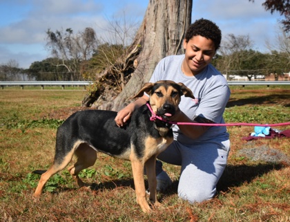 Adoptable Animals - Louisiana SPCA